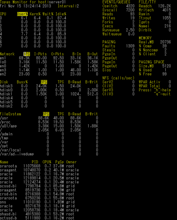 AIXパフォーマンスをリアルタイムで確認するなら「topas」コマンドがいい | オラエーリックスマンの呟き